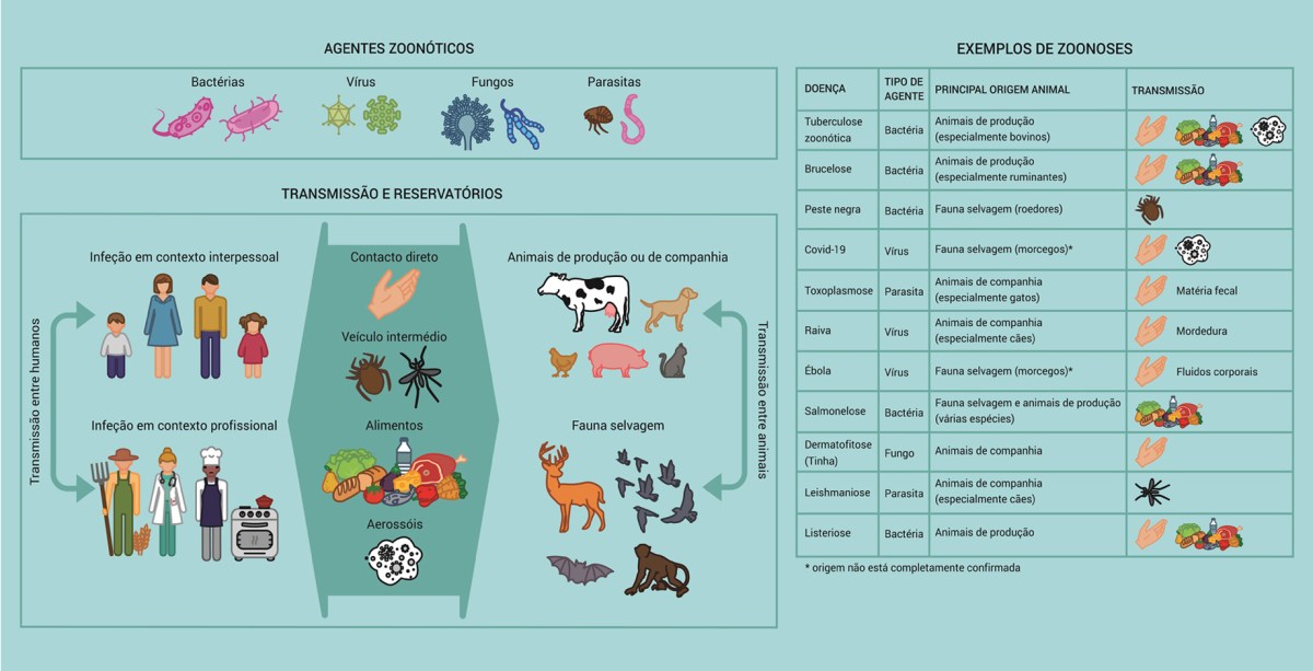 Zoonoses – Cartoons de Microbiologia