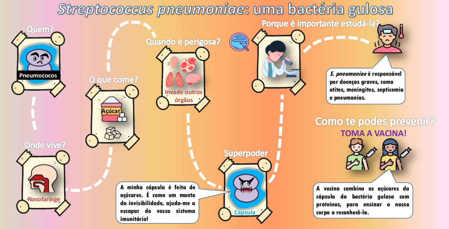 Streptococcus pneumoniae: uma bactéria gulosa – Cartoons de Microbiologia